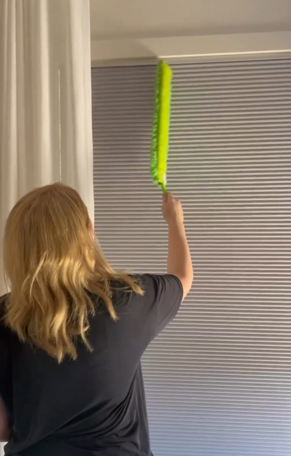 A Buyer’s Guide to Honeycomb Blinds - BlindsOnline Blog