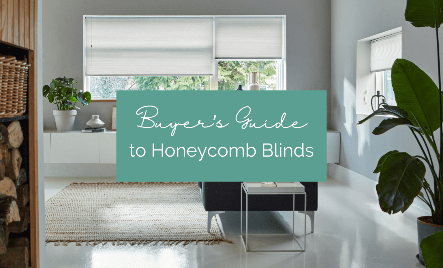 A Buyer’s Guide to Honeycomb Blinds - BlindsOnline Blog
