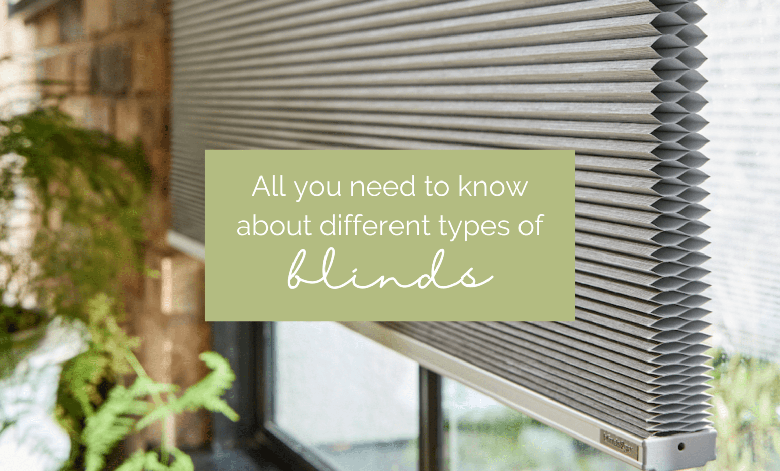 All You Need to Know About Different Types of Blinds - BlindsOnline Blog